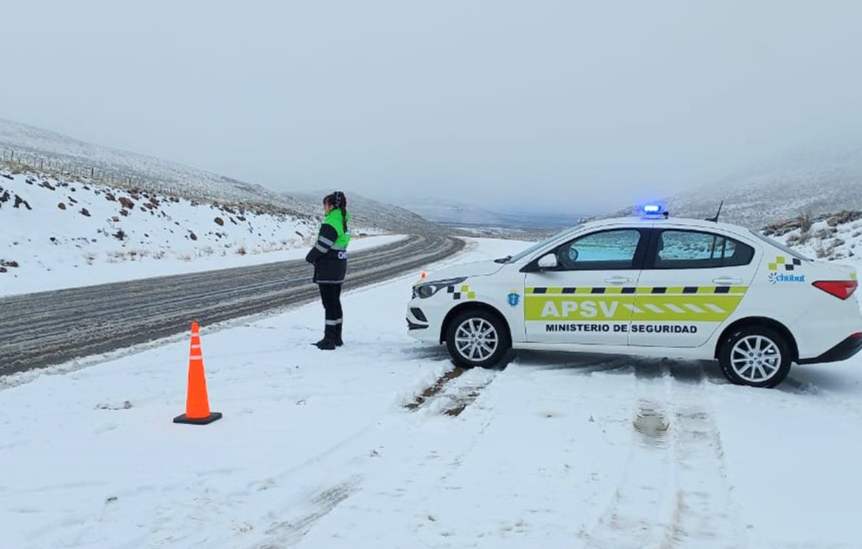 Seguridad Vial: la APSV controló a más de 9 mil vehículos durante el ...